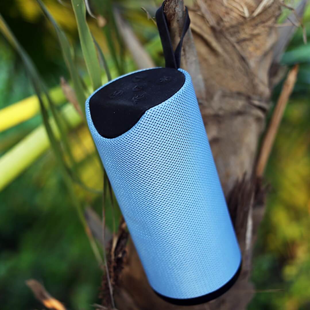 TG 113 Wireless Speaker